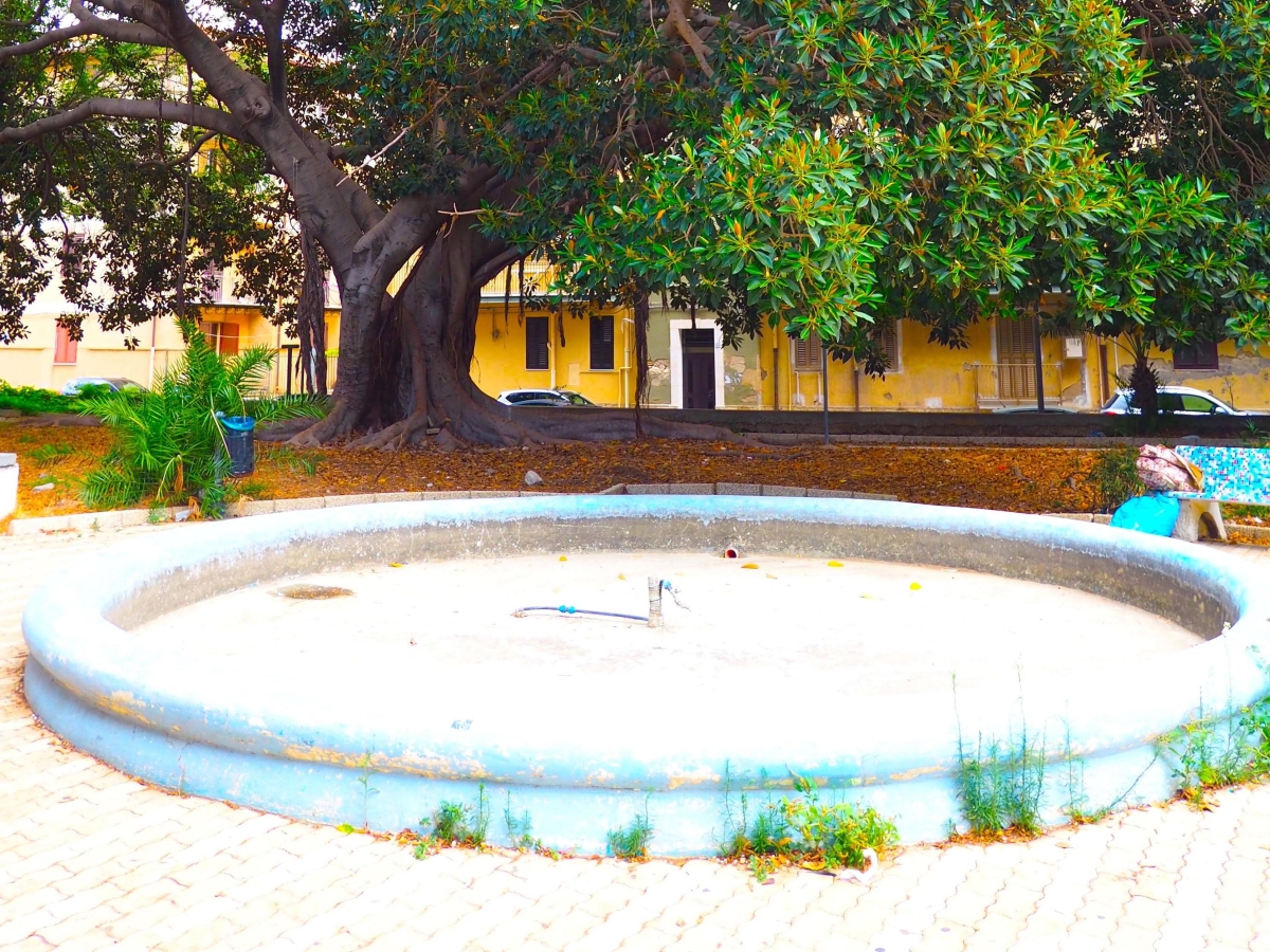 Licata, sulla Costa del Mito: trionfo di ficus e di liane nel parco di ...