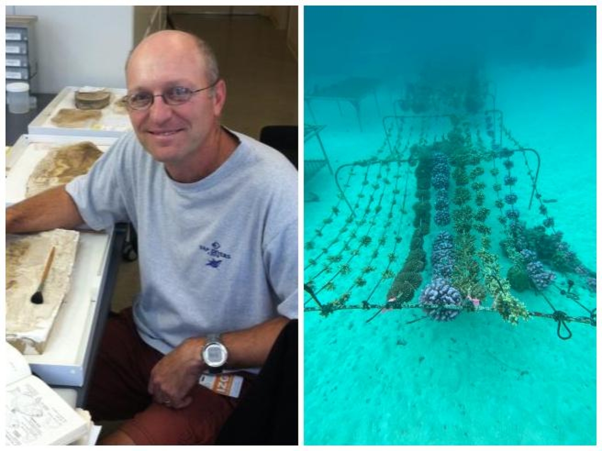 Il giardiniere dei coralli: «Trapianto gli esemplari rotti per ...
