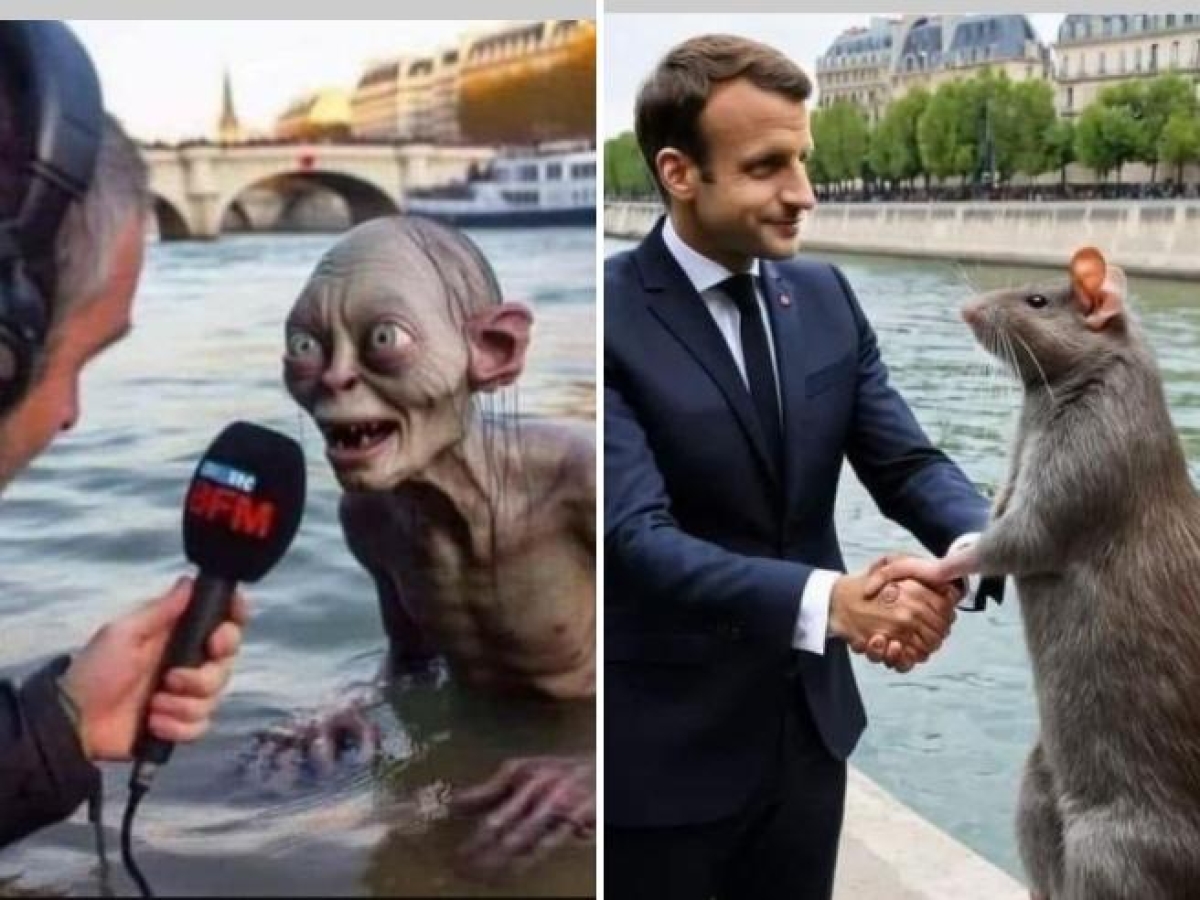 Senna inquinata, i meme sull'acqua troppo sporca alle Olimpiadi, da Gollum ai topi premiati da ...
