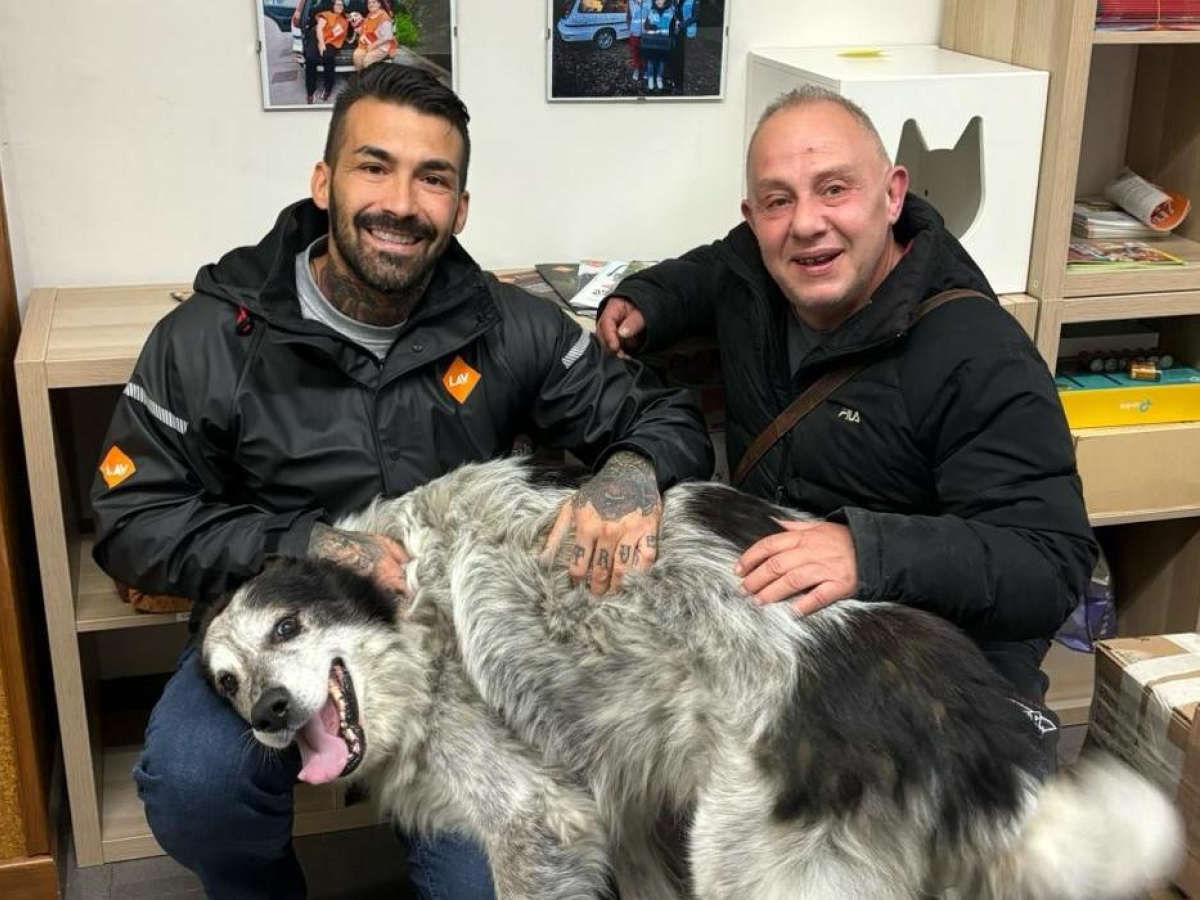 Giuseppe e il cane Bobby hanno trovato casa: «Saranno ospiti di Italian ...