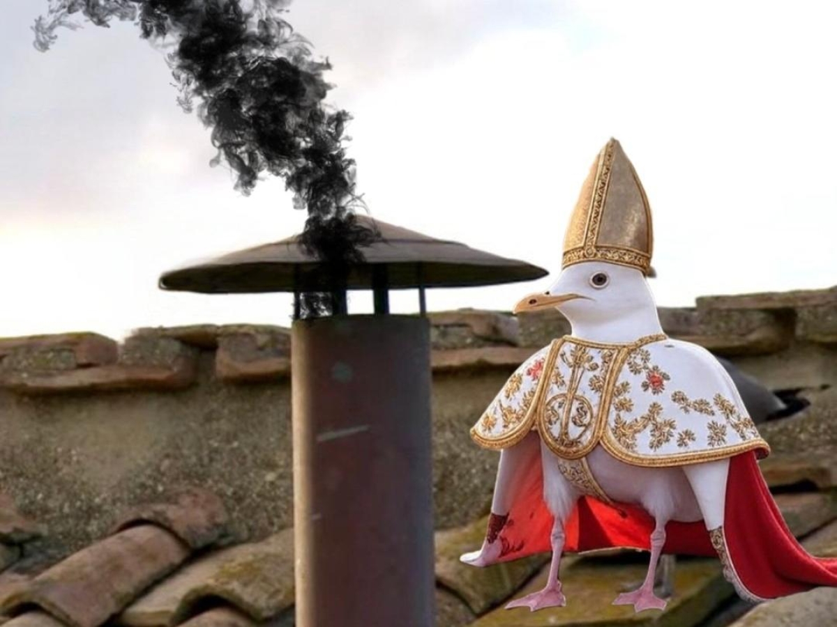 Il gabbiano sul tetto del Conclave come John Travolta in «Pulp Fiction ...