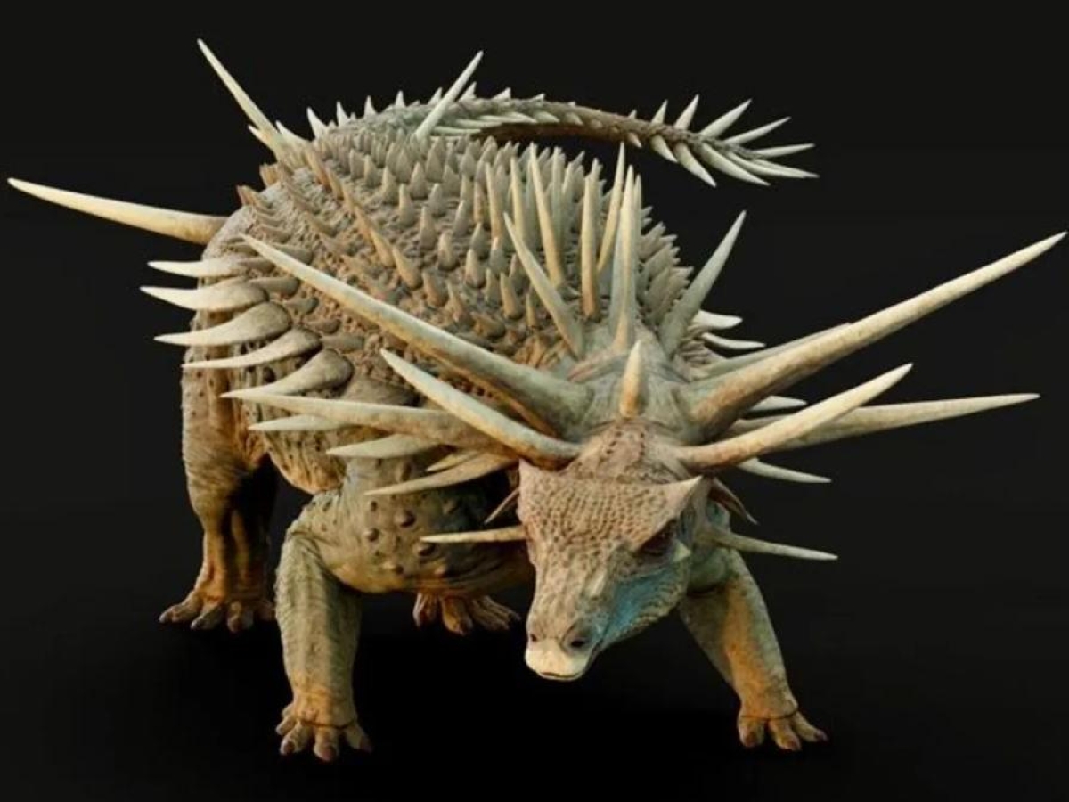 Scoperto in Marocco il «dinosauro punk»: è il più antico fossile di Spicomellus mai trovato ...