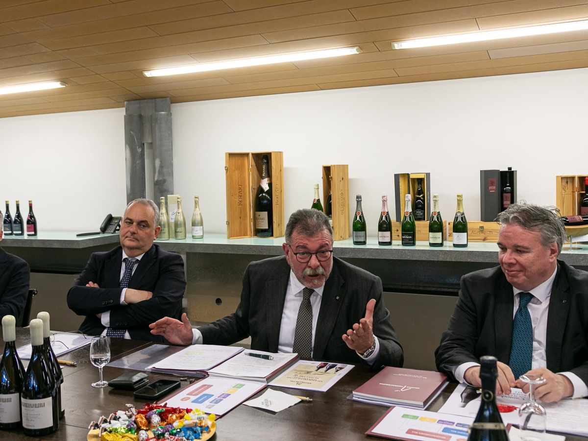 Vino, Gruppo Mezzacorona: il fatturato vola a quota 213 milioni di euro ...