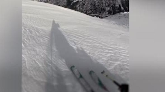 MotoGp ad Assen, la gara in diretta: Marc Marquez su Ducati trionfa in ...