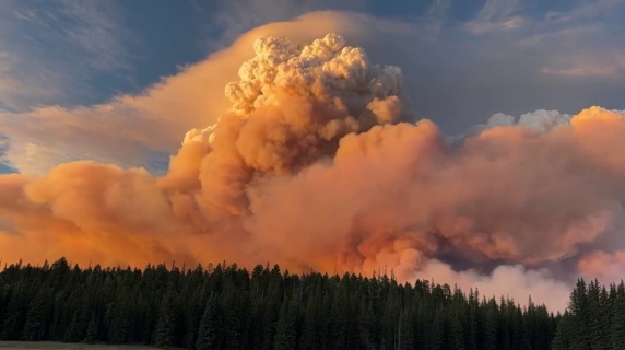 Arizona, le immagini di un pirocumulo: la «nube di fuoco» nasce dall ...