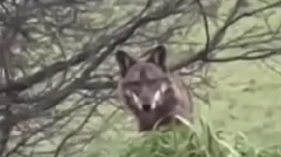 Reggio Emilia, denuncia della Lega: «La scuola cancella la parola Gesù ...