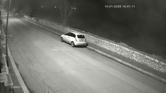 Taranto, Billy e Nina i due cani di quartiere uccisi a fucilate. Scatta ...