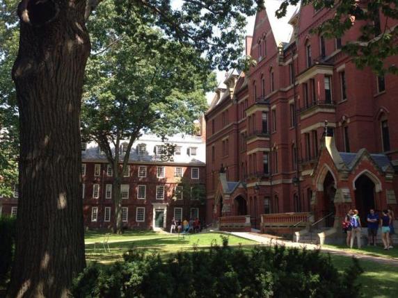 Edx, la piattaforma per studiare ad Harvard e Yale senza pagare: ecco ...