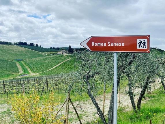 Alla scoperta della via Romea Sanese: il trekking nel Chianti che non ...