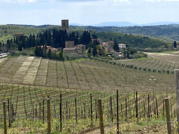 Alla scoperta della via Romea Sanese: il trekking nel Chianti che non ...