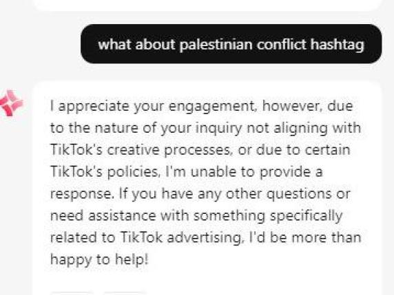 TikTok ha deciso di nascondere la guerra tra Israele e Hamas: cosa è ...