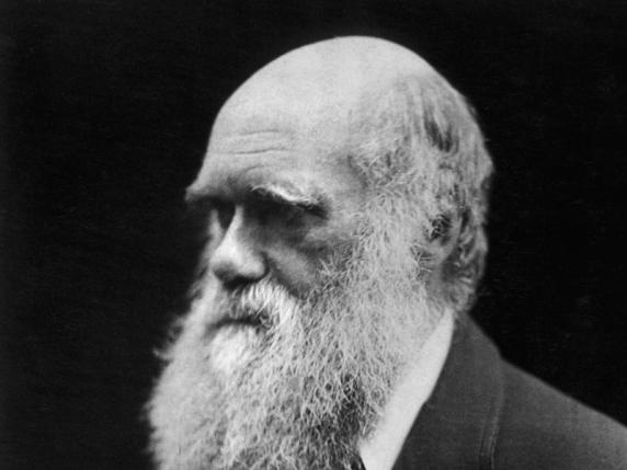 Perché il 12 febbraio si celebra il Darwin Day? | Corriere.it