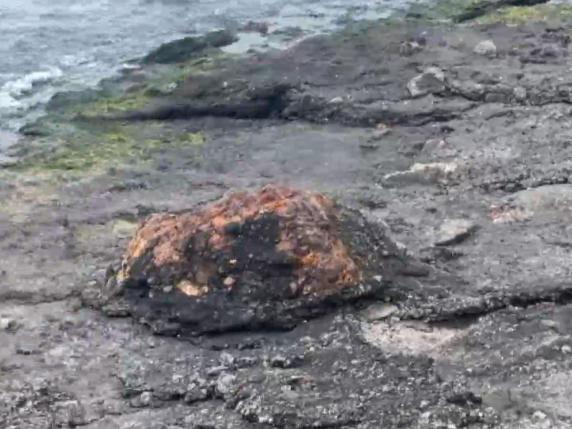 Taranto, la scogliera di Punta Rondinella deturpata da scorie ...