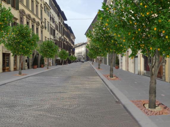 Firenze, verso il Duomo tra gli aranci: il nuovo volto di via Cavour ...