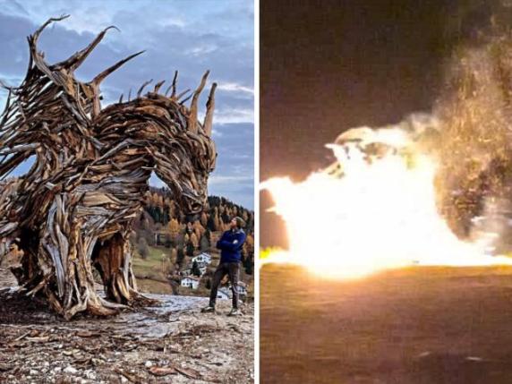 Drago di Vaia incendiato, la procura apre un'inchiesta per rogo doloso ...