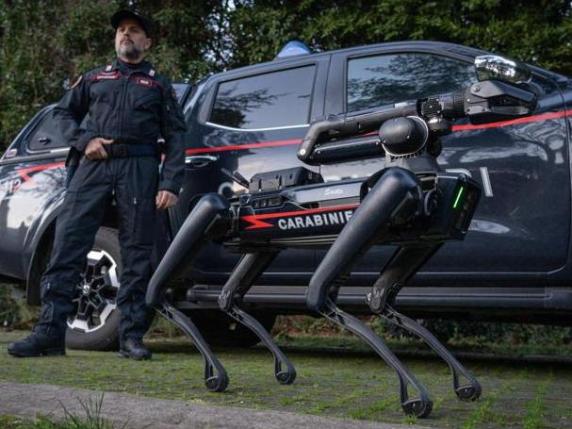 Carabinieri, gli Artificieri di Roma arruolano Saetta, il primo cane ...