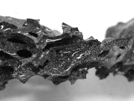 Scavi di Ercolano, svelato il mistero del cervello vetrificato dall ...