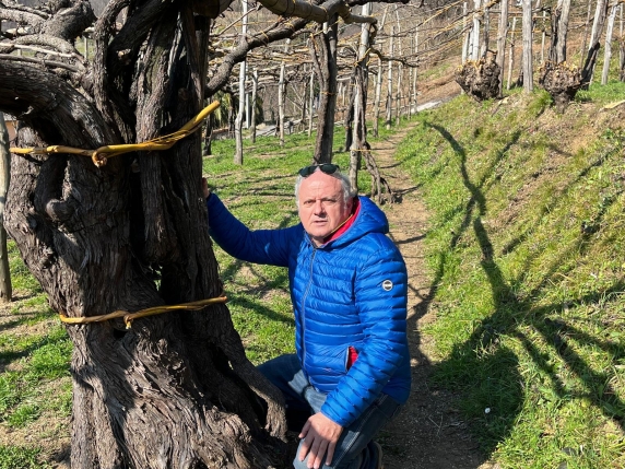 Morto il vignaiolo Gaetano Bove, il signore del Tintore | Corriere.it