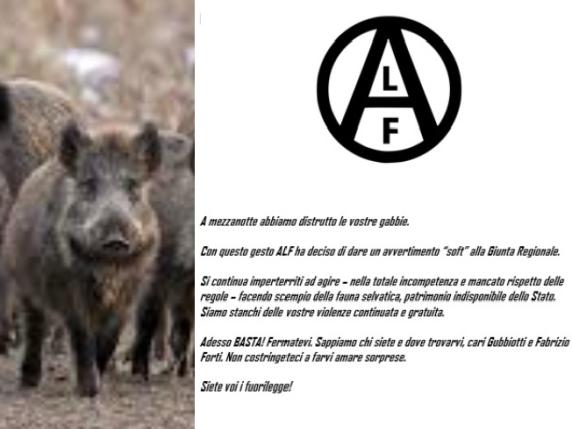 «Basta stragi di cinghiali». L'Alf (Animal liberation front) minaccia ...