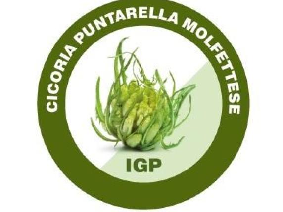 La «cicoria puntarelle molfettese» avrà il marchio Igp | Corriere.it