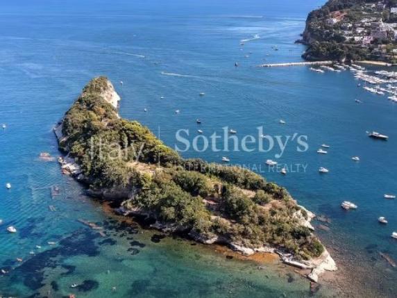 Punta Pennata, su Sotheby's si vende l'isolotto dei Campi Flegrei. Il ...
