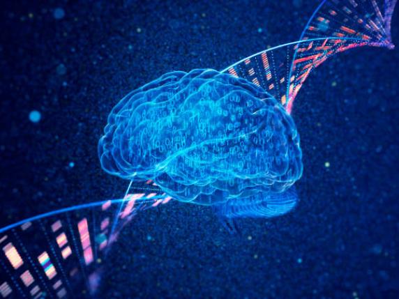 Sindrome di Angelman, che cos'è, come si riconosce, trattamenti. Primo ...