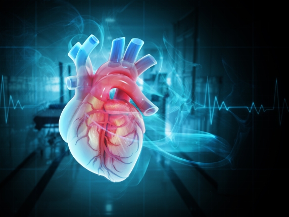 Organi in 3D: un algoritmo aiuta a scegliere il modello di Ai più ...