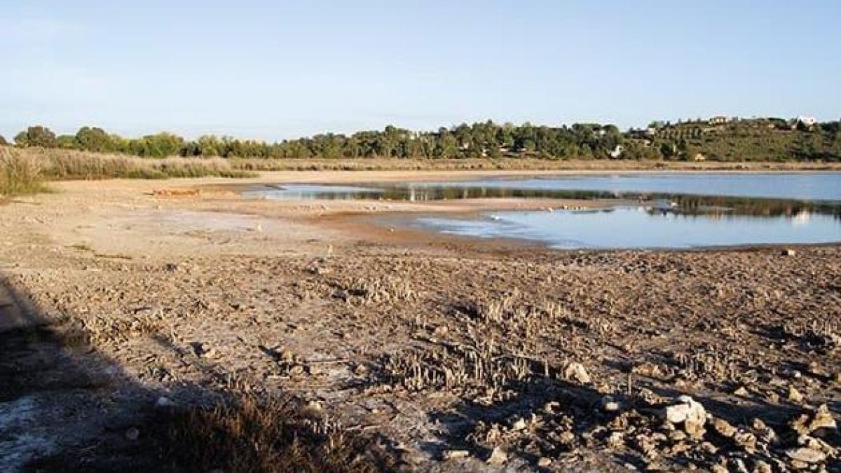 Enna, quasi prosciugato il lago Pergusa del mito di Proserpina: ispirò ...