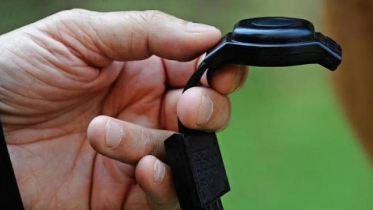 Rimini, non ci sono i braccialetti elettronici: gli indagati finiscono ... Rimini, non ci sono i braccialetti elettronici: gli indagati finiscono ...