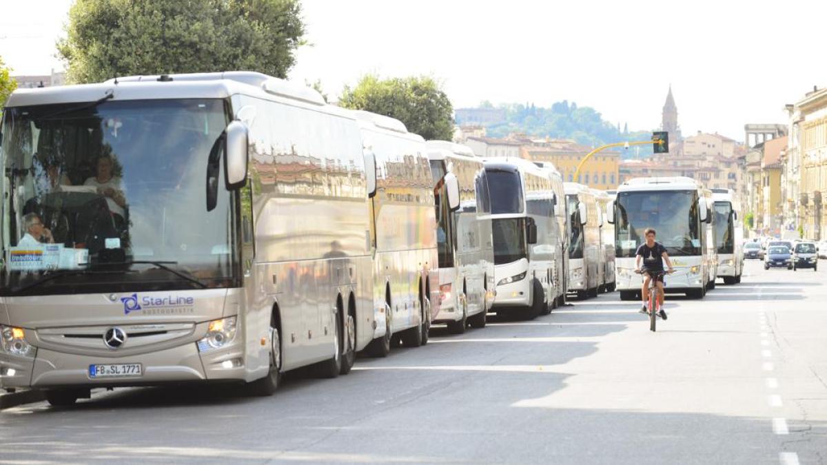 Bus turistici, da Natale 2024 al 6 gennaio '26 tariffe ribassate del 27 ...