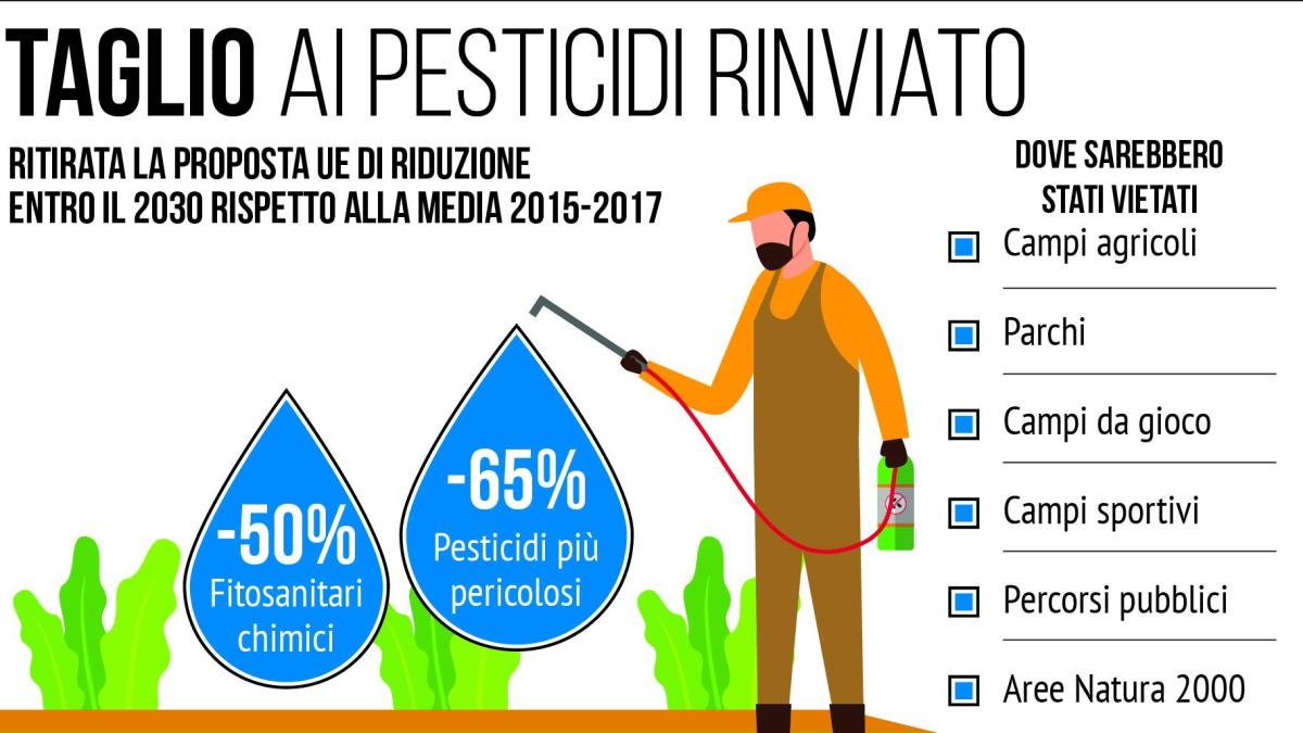 Pesticidi: che cosa cambia con le nuove regole Quali sono gli effetti ...
