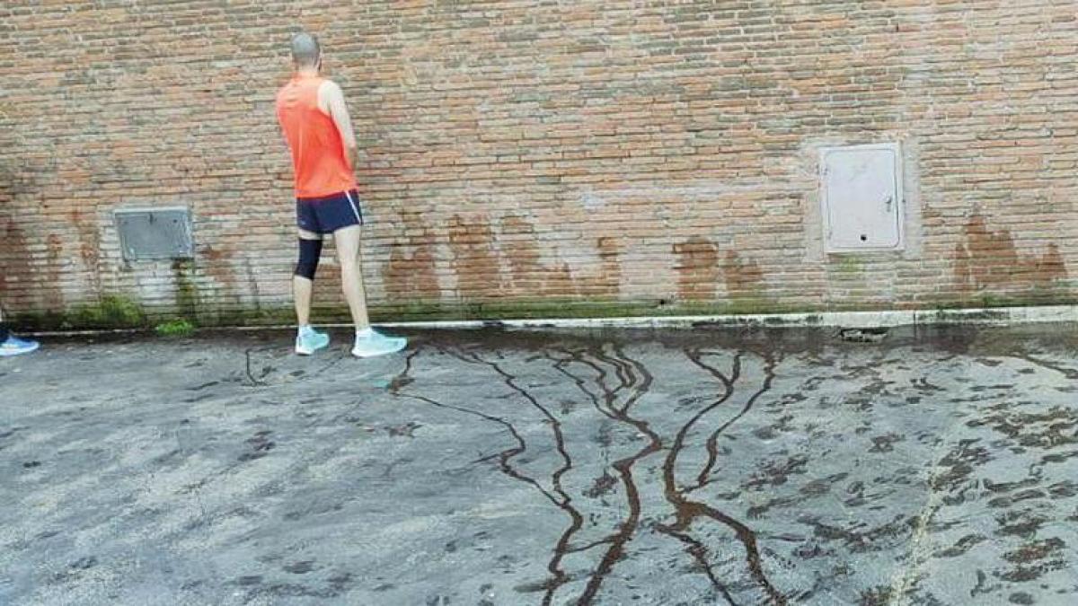 Maratona a Roma e i danni al Colosseo. L'assessore Onorato ...