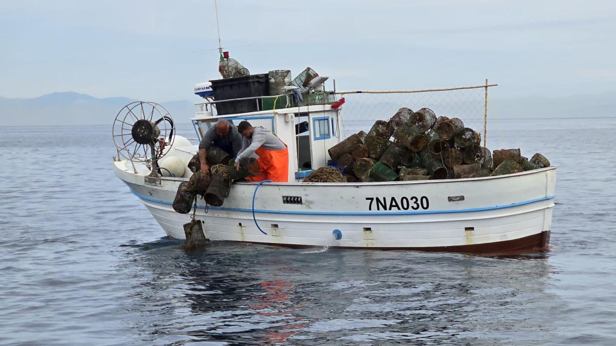 Forio d'Ischia, rimosse 80 nasse abbandonate in mare: continuavano a ...