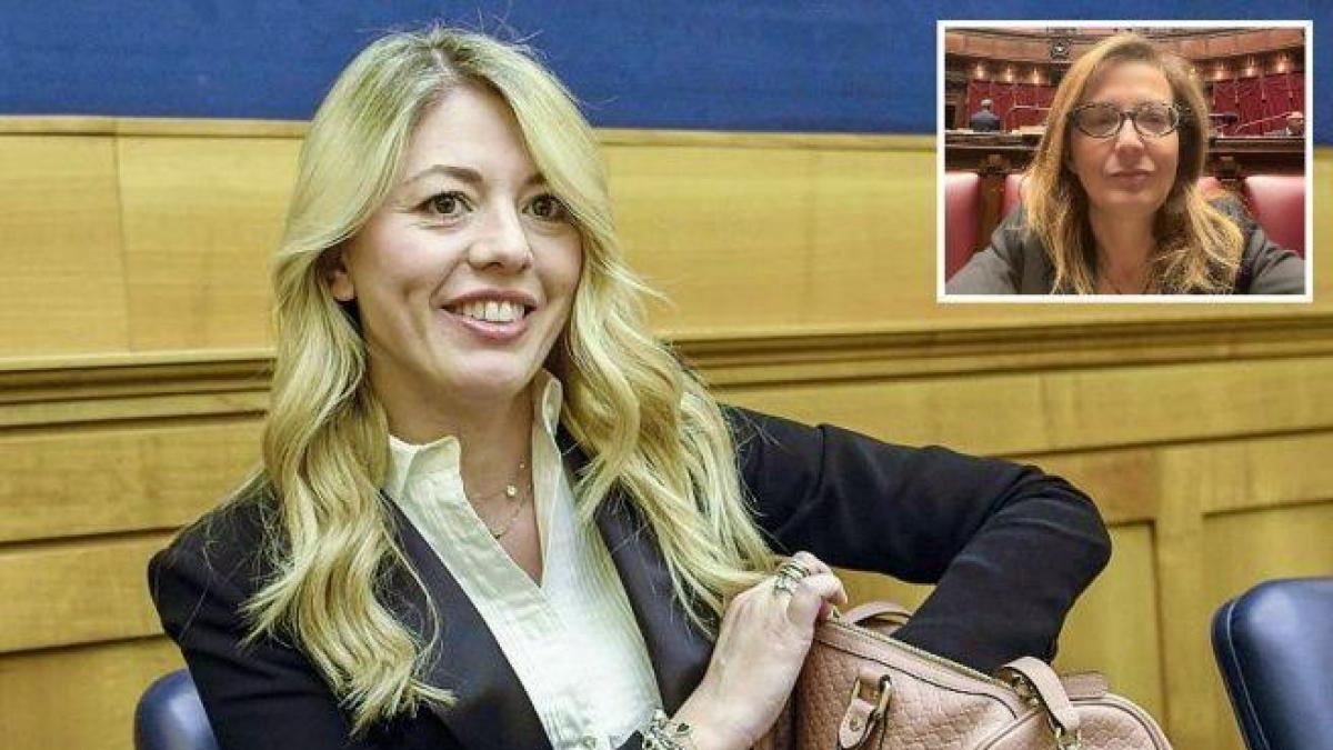 Patriarca (FI): «Maria Rosaria Boccia era come una hostess. Ha cercato ...