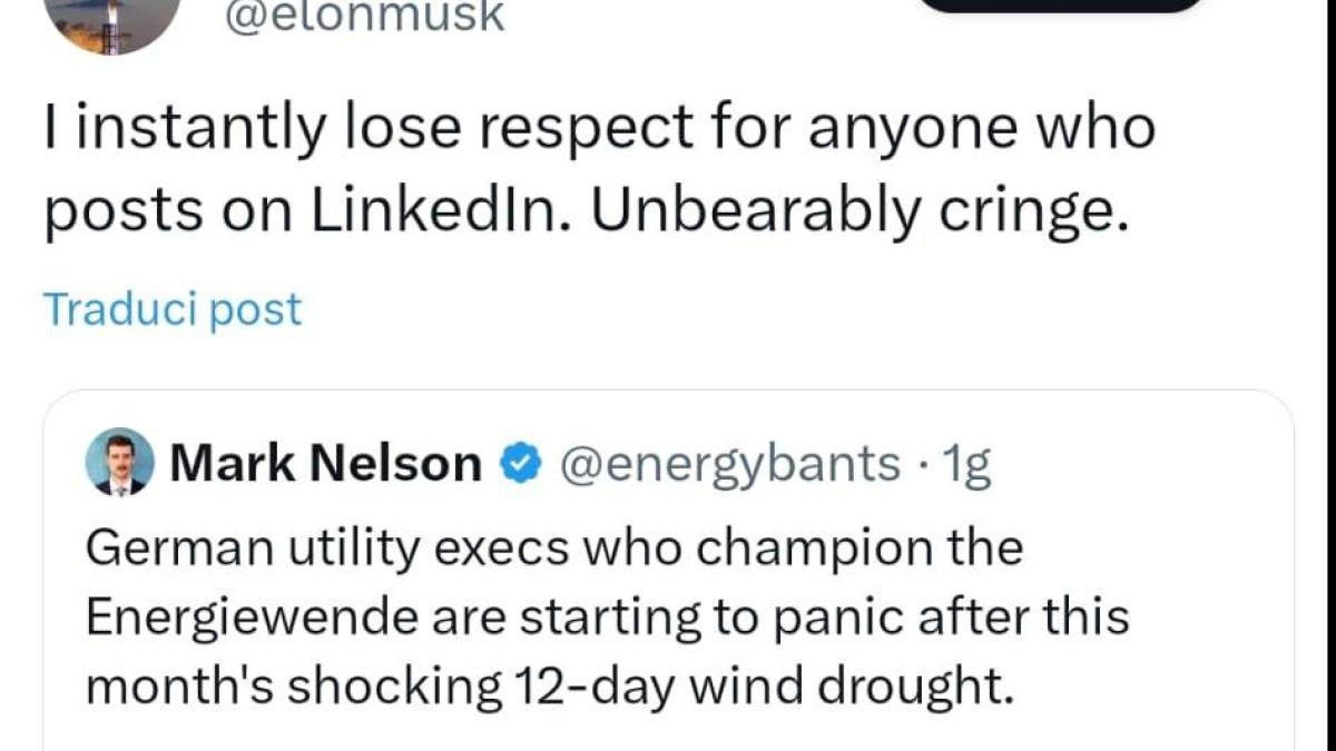 Elon Musk contro LinkedIn: «È cringe». Perché e cosa c’è dietro | Corriere.it