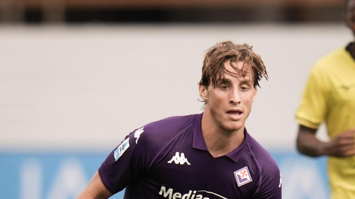 Bove mette il defibrillatore sottocutaneo removibile: concluso l ...