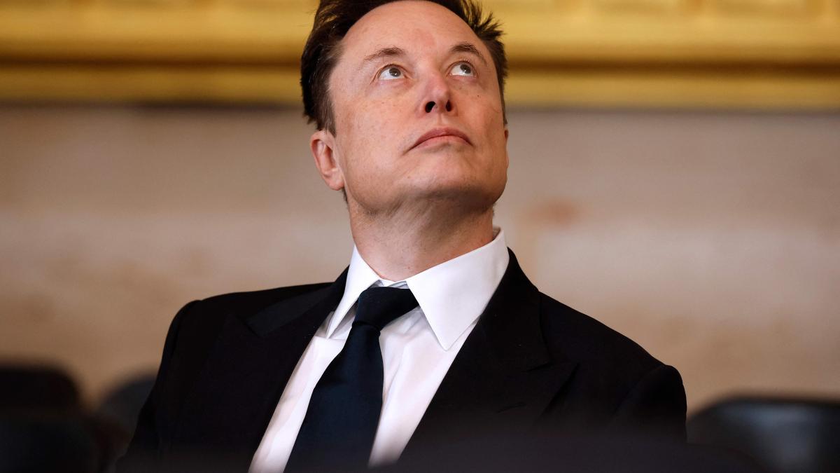 Perché Musk ha lanciato lo slogan «Make Europe Great Again» e cerca ...
