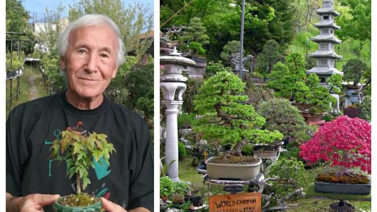 Treviso, morto a 89 anni Armando Da Col: «Aveva creato il museo-giardino del bonsai» | Corriere.it