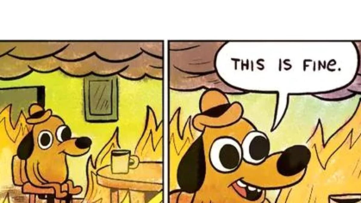 Il meme del cane circondato da un incendio compie 10 anni: la storia ...