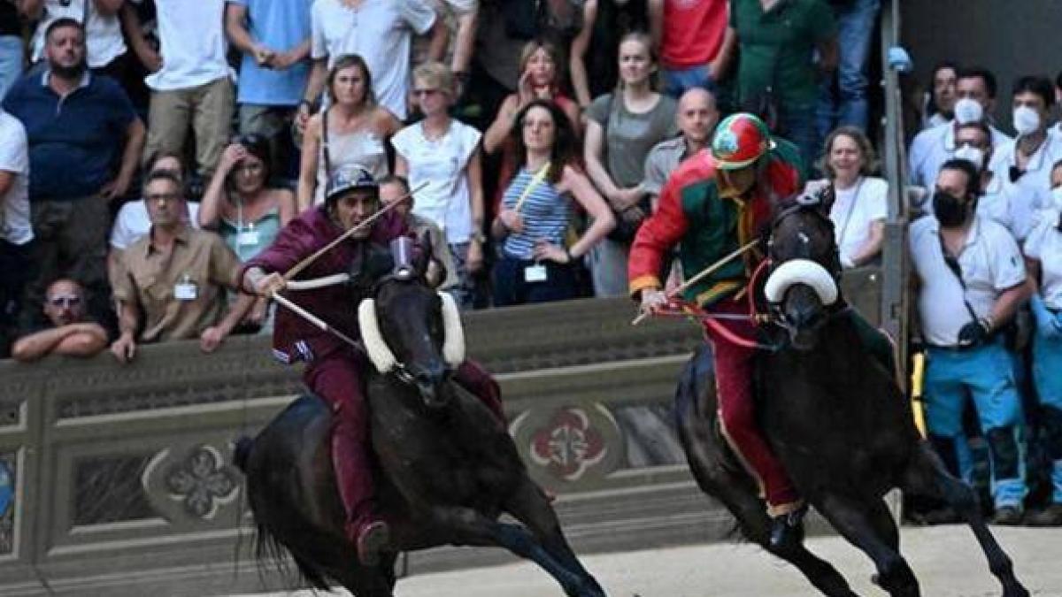 Palio di Siena 2023, i drappelloni saranno di Lodola e Di Jullo ...