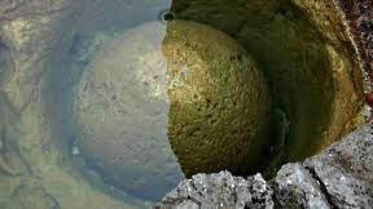 La Marmitta dei giganti: cosa è la singolare pietra sulla costa di ...