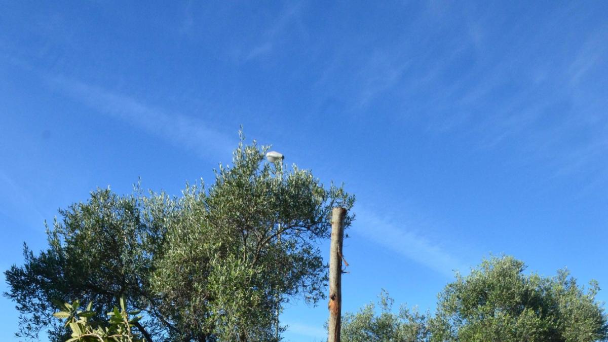 Agrinido E Agriasilo In Puglia Le Commissioni Regionali Approvano
