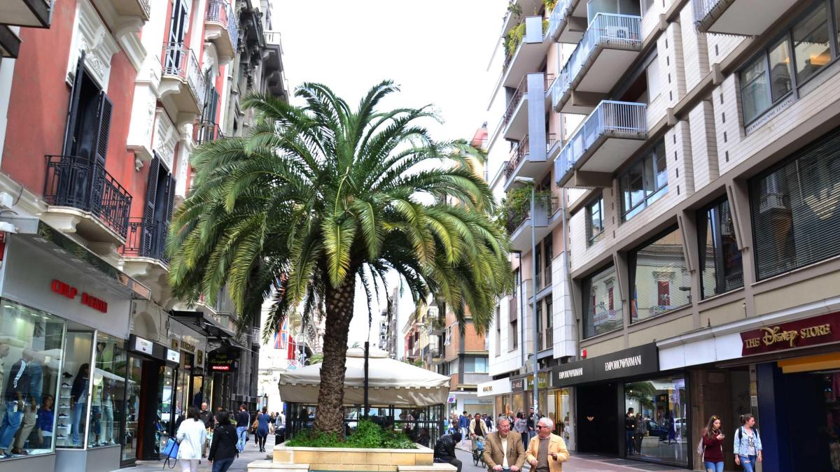 Commercio, pronti 23 distretti. Ma Bari non presenta il progetto ...