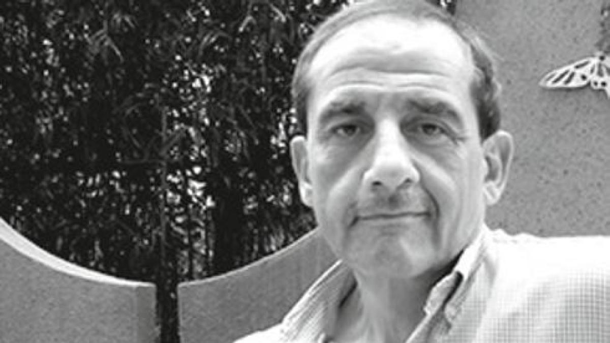 Posillipo, la colpa è nostra: non dei pini | Corriere.it