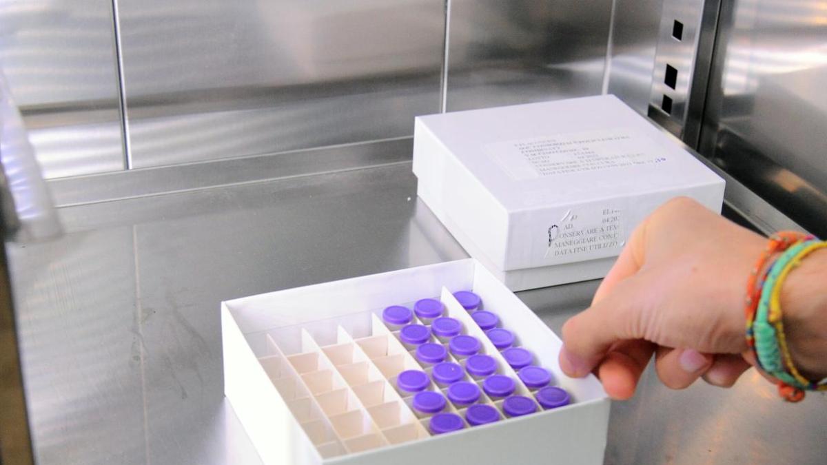 Lachifarma, la Regione punta sull'azienda farmaceutica leccese per il ...