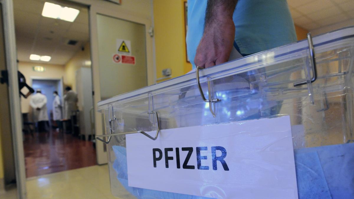 Vaccini, Asl Napoli lancia doppio open day Pfizer | Corriere.it