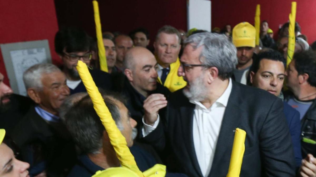 Xylella, il batterio killer ora fa pauraè nella Piana degli ulivi ...