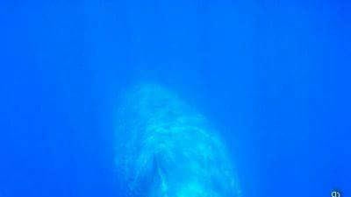 Farace, il fotografo del mare in mostra alla Lega Navale | Corriere.it