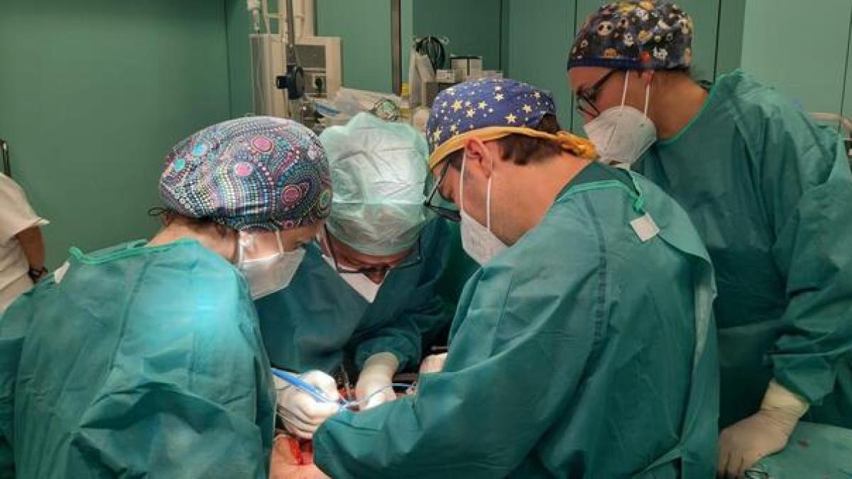 Ospedale Monaldi, due trapianti di cuore in dieci giorni: salve una ...