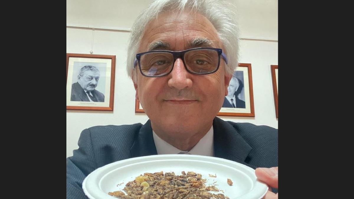 Torino, il consigliere Silvio Viale offre un piatto di grilli ai ...